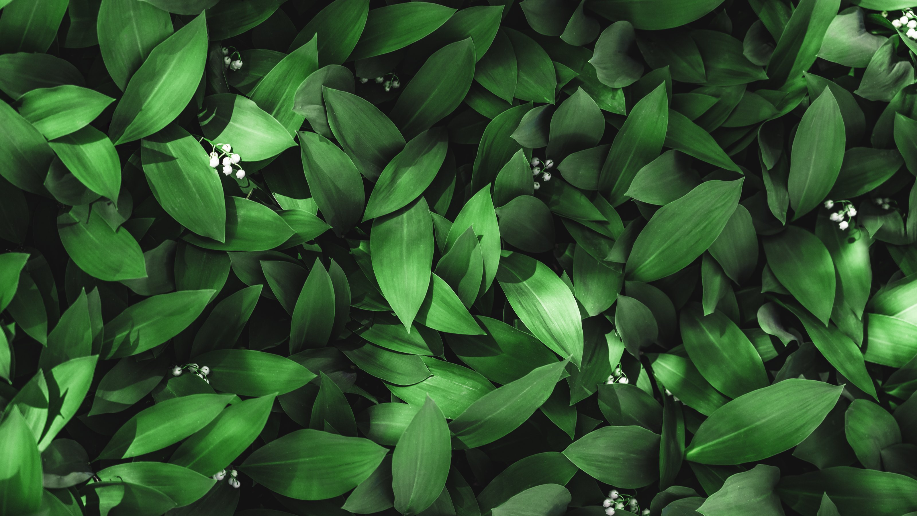 Naava's Sustainability